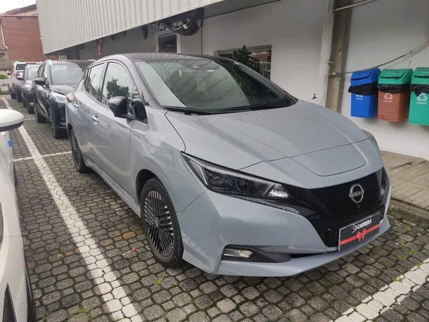NISSAN LEAF Usados e Novos