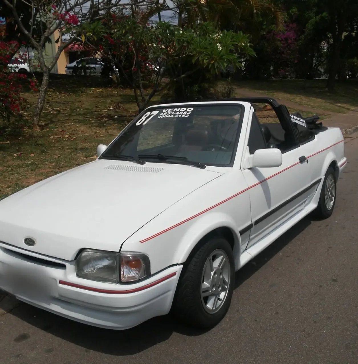 FORD ESCORT Usados e Novos