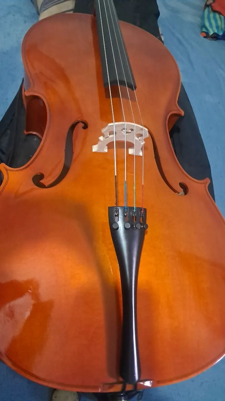 "violoncelo" no Brasil