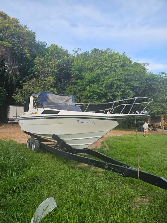 "cimitarra" no Brasil