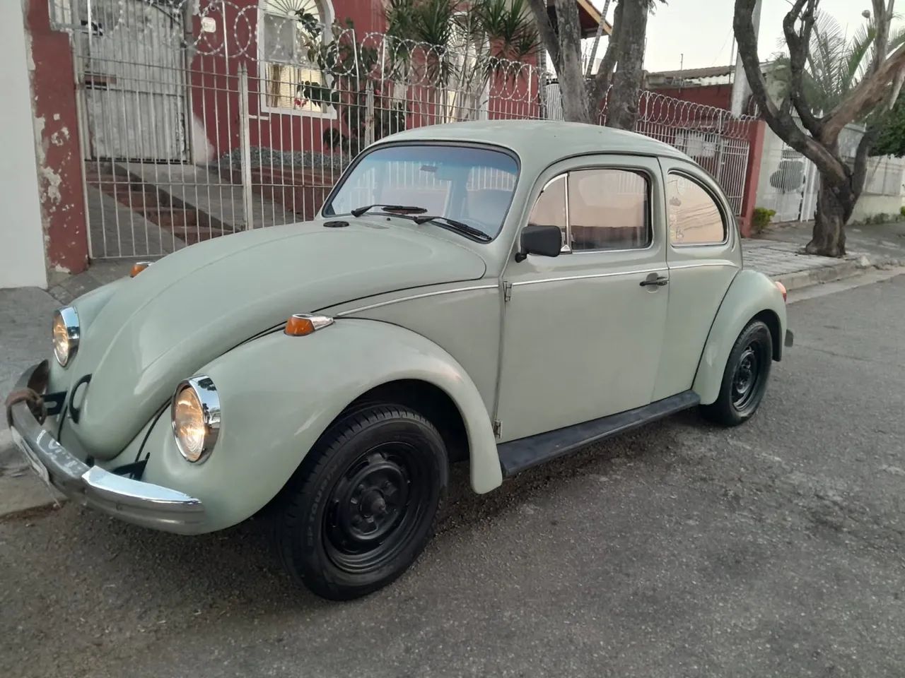 "fusca fafa" no Brasil