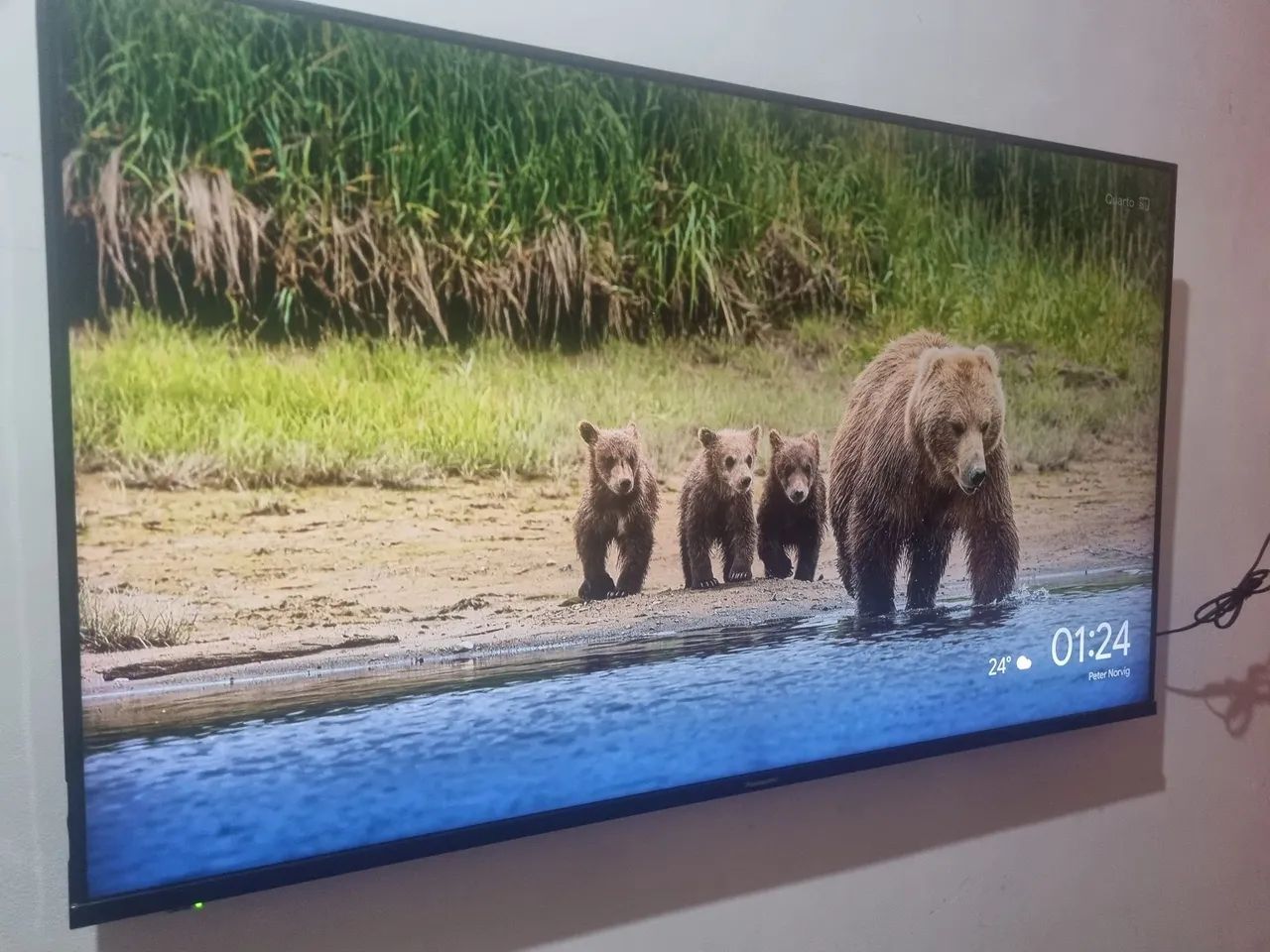 Smart TV Panasonic 50 Polegadas 4K Ultra HD + Chromecast 2 - TVs - Novo ...