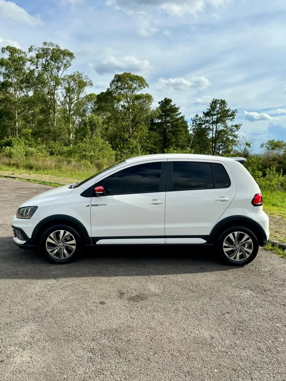 VOLKSWAGEN FOX 2017 Usados e Novos