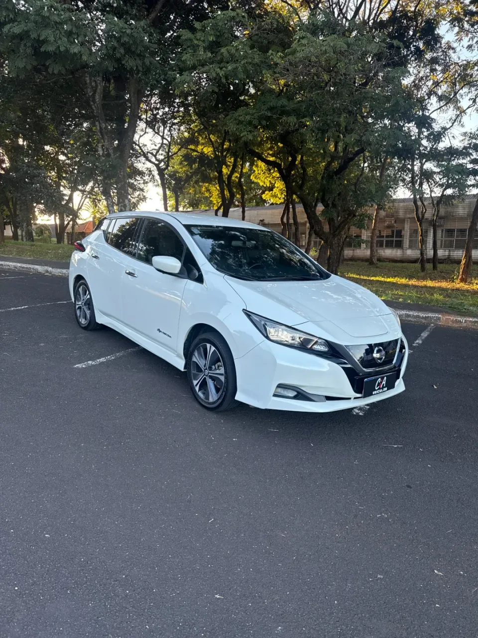 NISSAN LEAF Usados e Novos