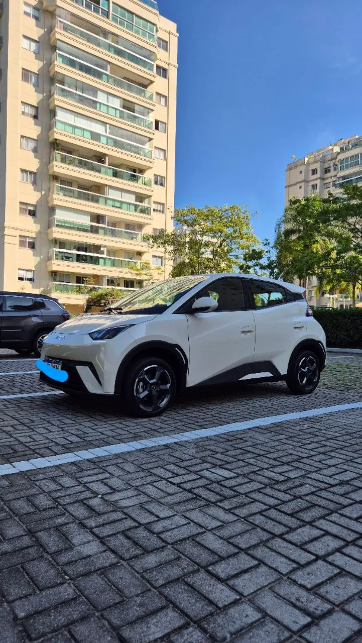 BYD DOLPHIN Usados e Novos