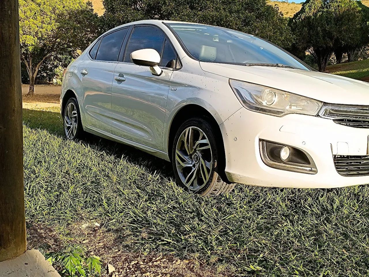 CITROEN C4 2014 Usados e Novos