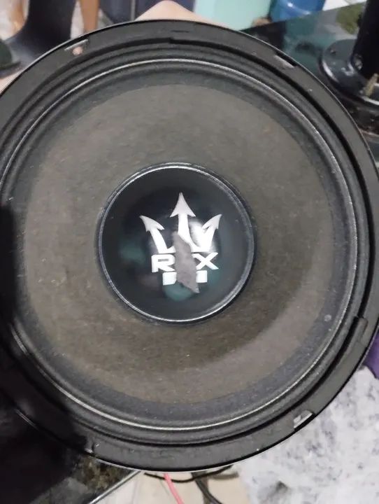 "medio grave 10 polegadas" no Brasil