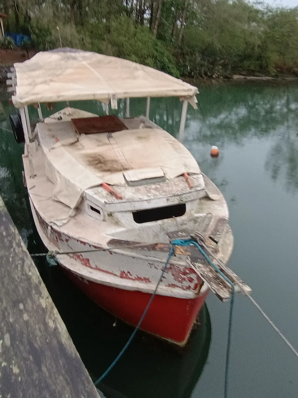 "barco de fibra" no Brasil