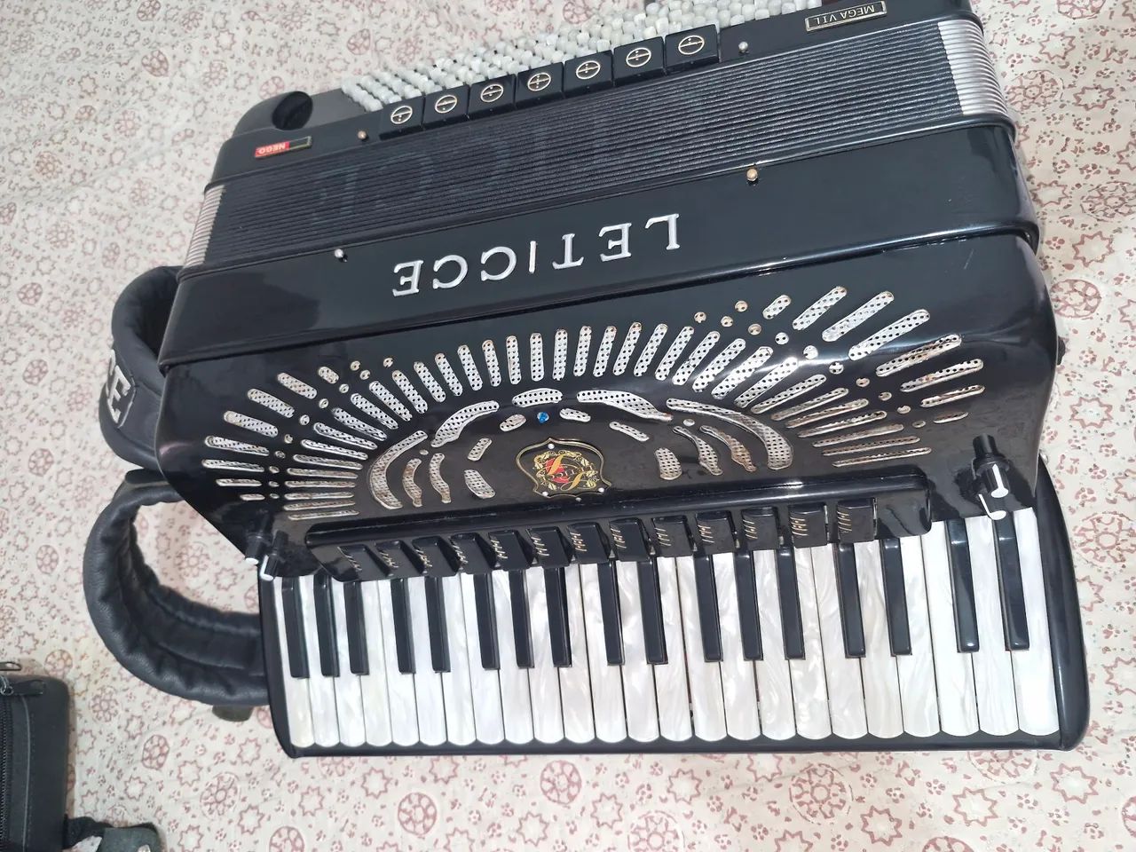 ACORDEON LETICCE MEGA VI L - Instrumentos musicais - Liberdade, Campina ...