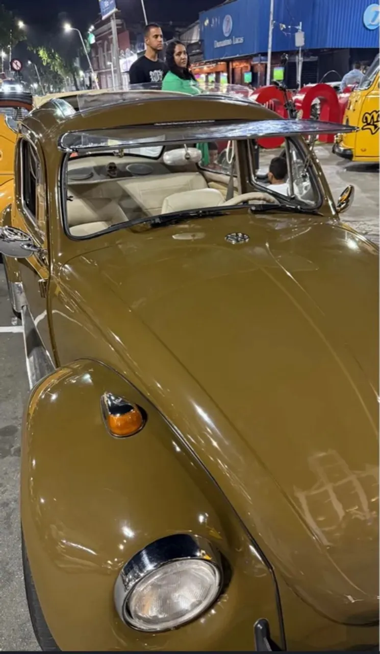 VOLKSWAGEN FUSCA 1973 Usados e Novos