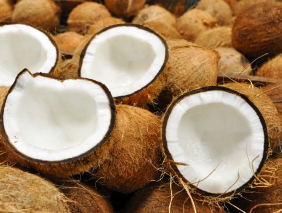 Coco seco - Produção Rural - Popular, Santa Rita 1463353009 | OLX