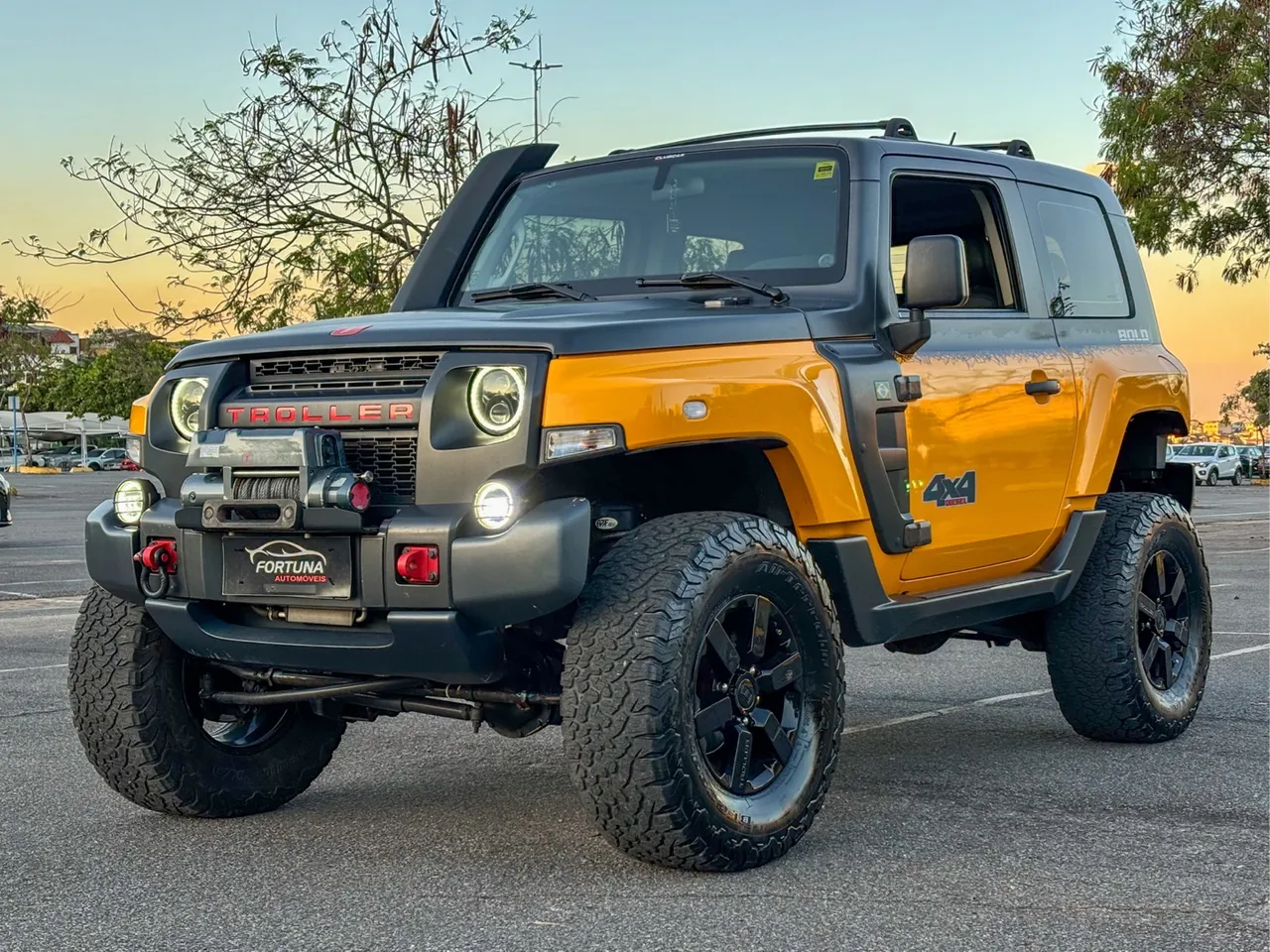 TROLLER T-4 BOLD 4X4 3.2 TDI CAP. RÍGIDA DIESEL Usados e Novos em MG