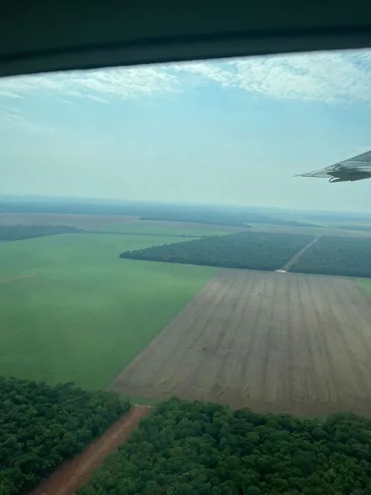 Fazenda arrendamento planta 3.084hec nova motum arg.25% 28 milhões de maquinas entra - Terrenos ...