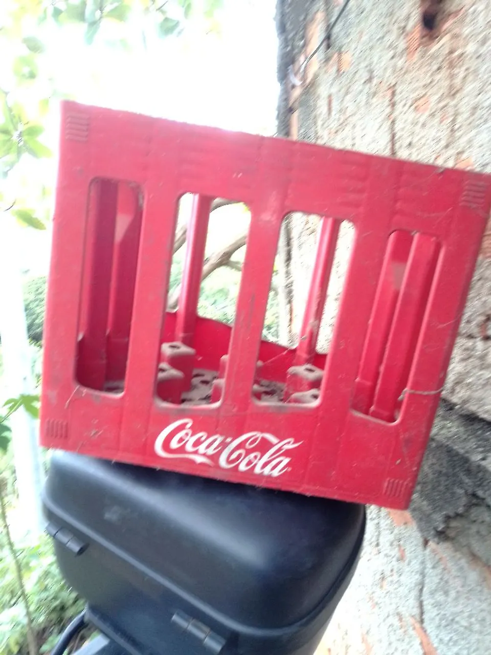 "engradado" no Brasil