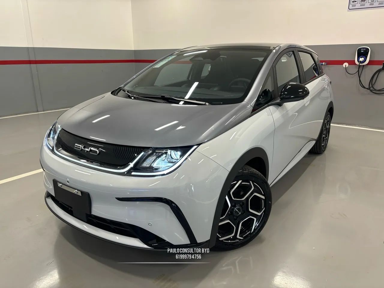 BYD DOLPHIN Usados e Novos