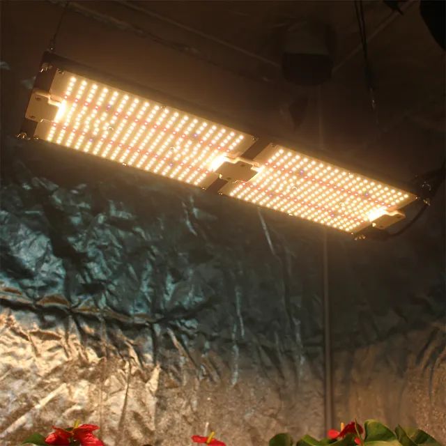 Led Grow Quantum Board Samsung LM301H EVO 240w Full Spectrum Driver ...