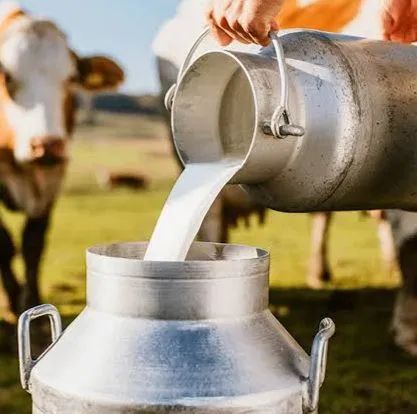 "leite natural" no Brasil