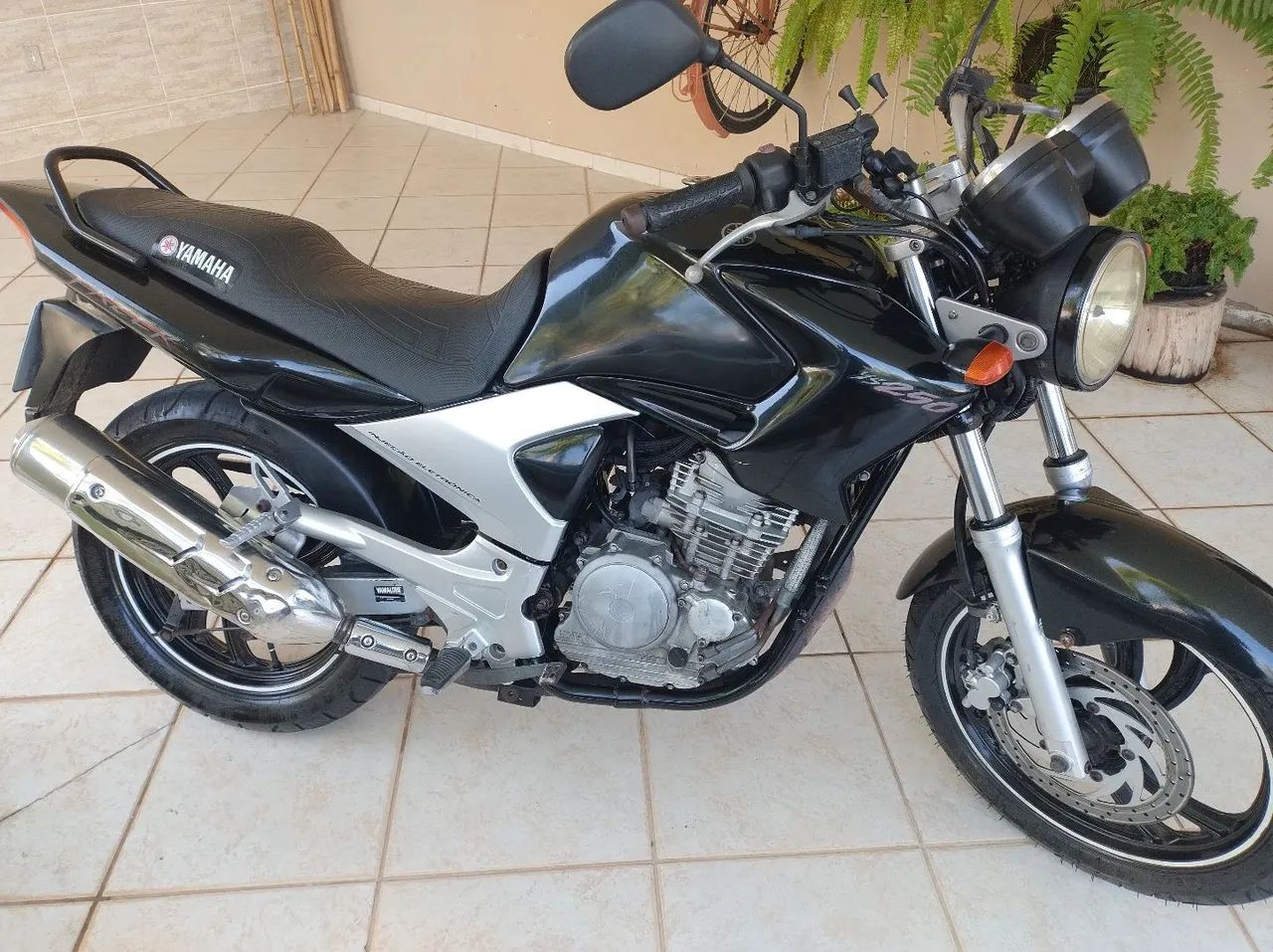 Motos YAMAHA FAZER 2008 no Brasil