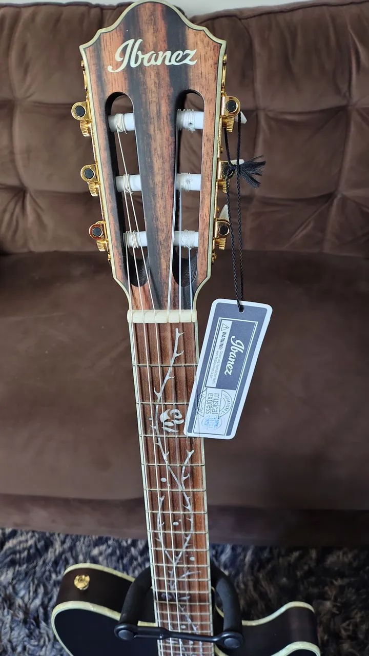 VIOLÃO IBANEZ TOD10N - TIM HENSON - Instrumentos musicais - Jardim ...