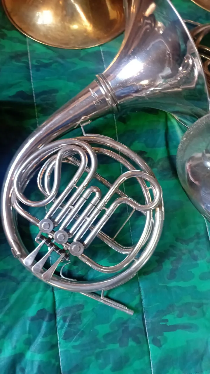 "instrumento trompa" no Brasil