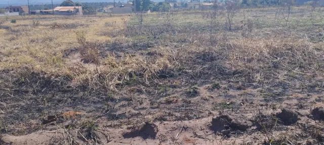 "terrenos bofete" no Brasil