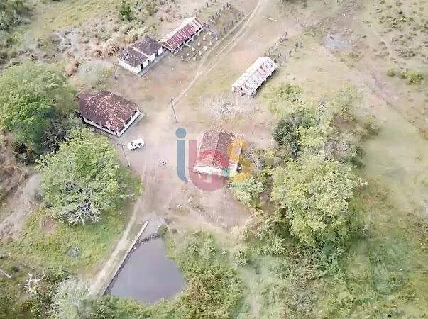 Vendo Sitio com 32 Hectares - Terrenos, sítios e fazendas - Iguape ...