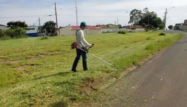 "cortar mato" no Brasil