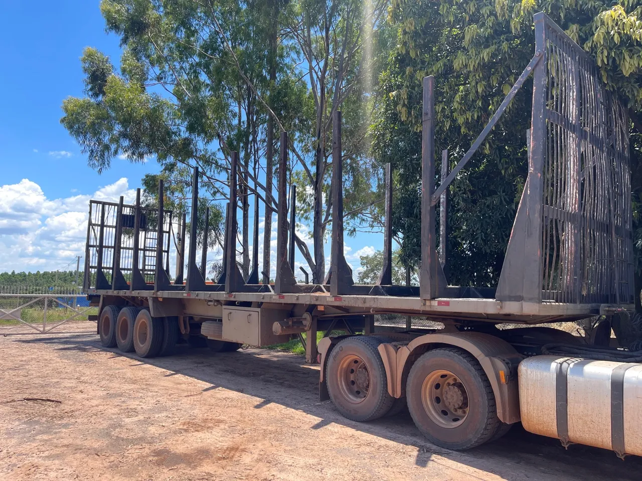 "tora de madeira" no Brasil