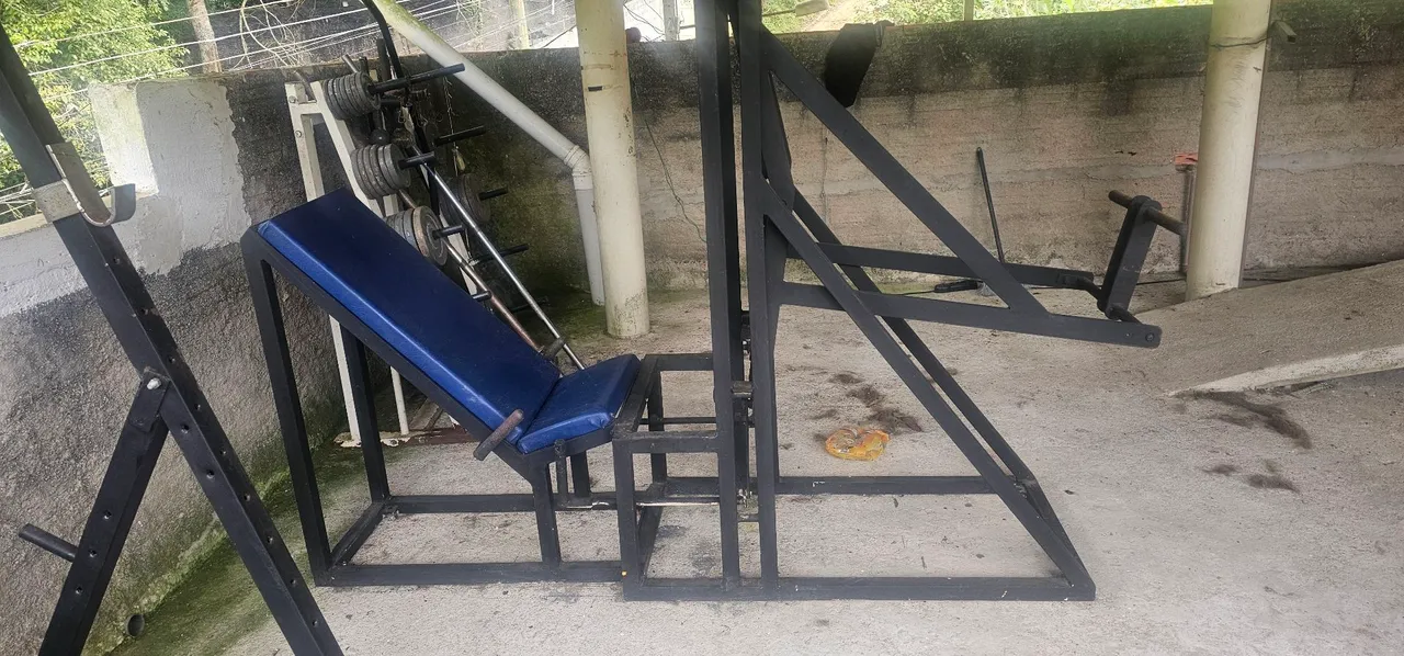 "leg press horizontal" - Academia e Exercícios no Brasil