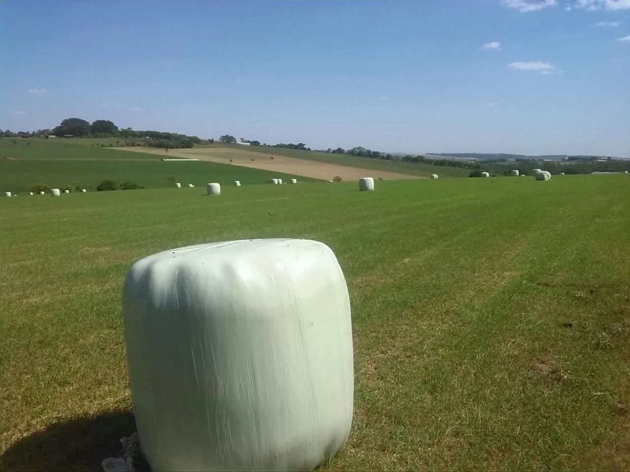 Bolas de Feno - Outros itens para agro e indústria - Jardim Social ...
