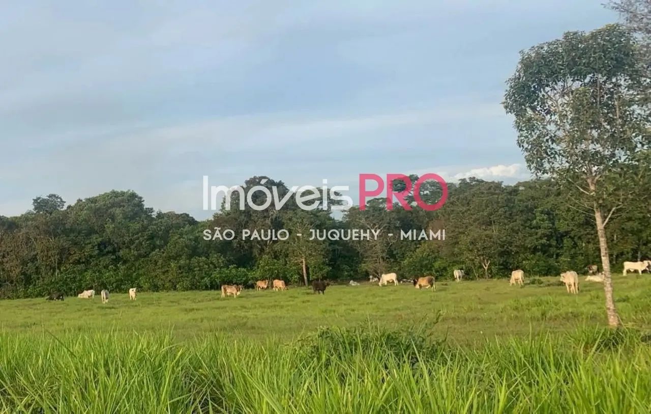 8.159,58 hectares, escuta proposta - Terrenos, sítios e fazendas - São ...