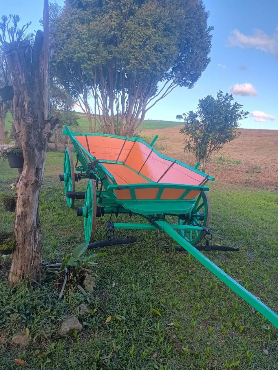 "carrocas" no Brasil