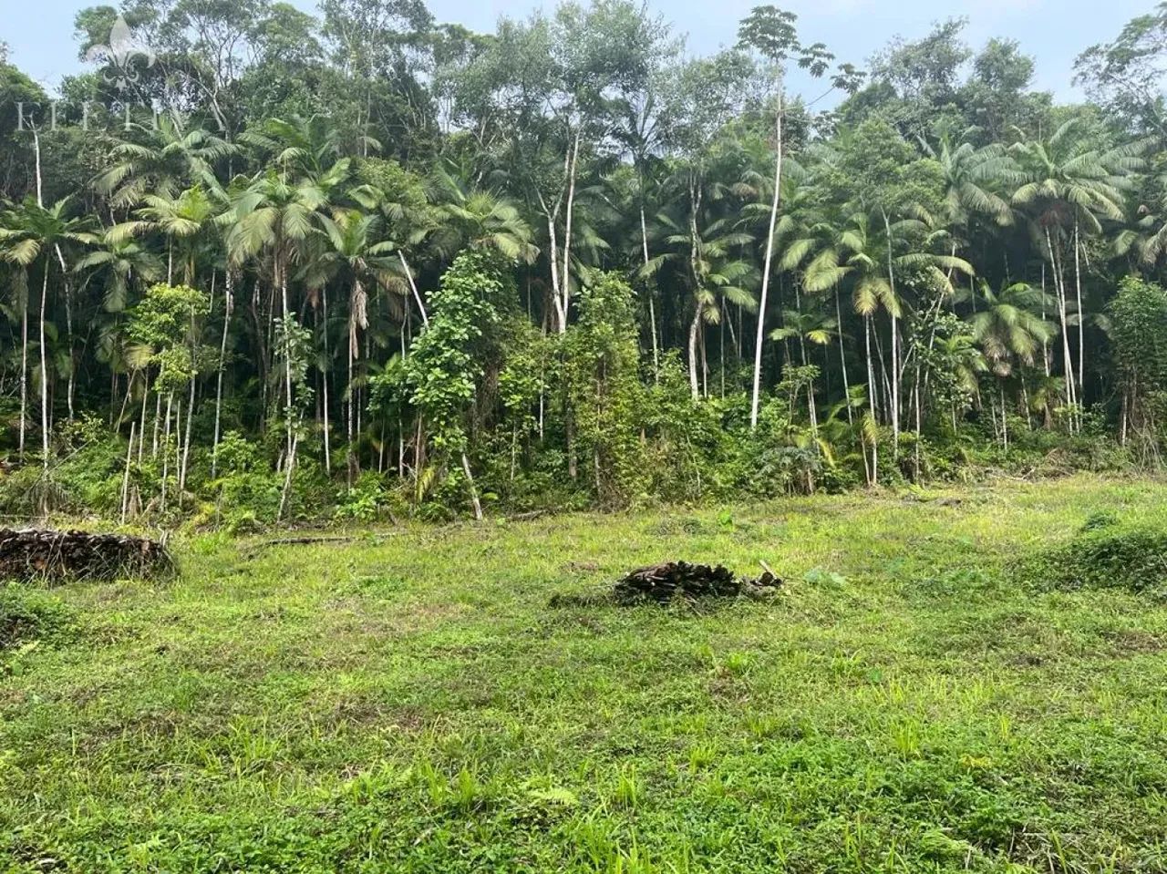 SÍTIO À VENDA EM POMERODE/SC. METRAGEM TOTAL DE 6.440,17 M², DEVIDAMENTE DESMEMBRADO E ESC ...