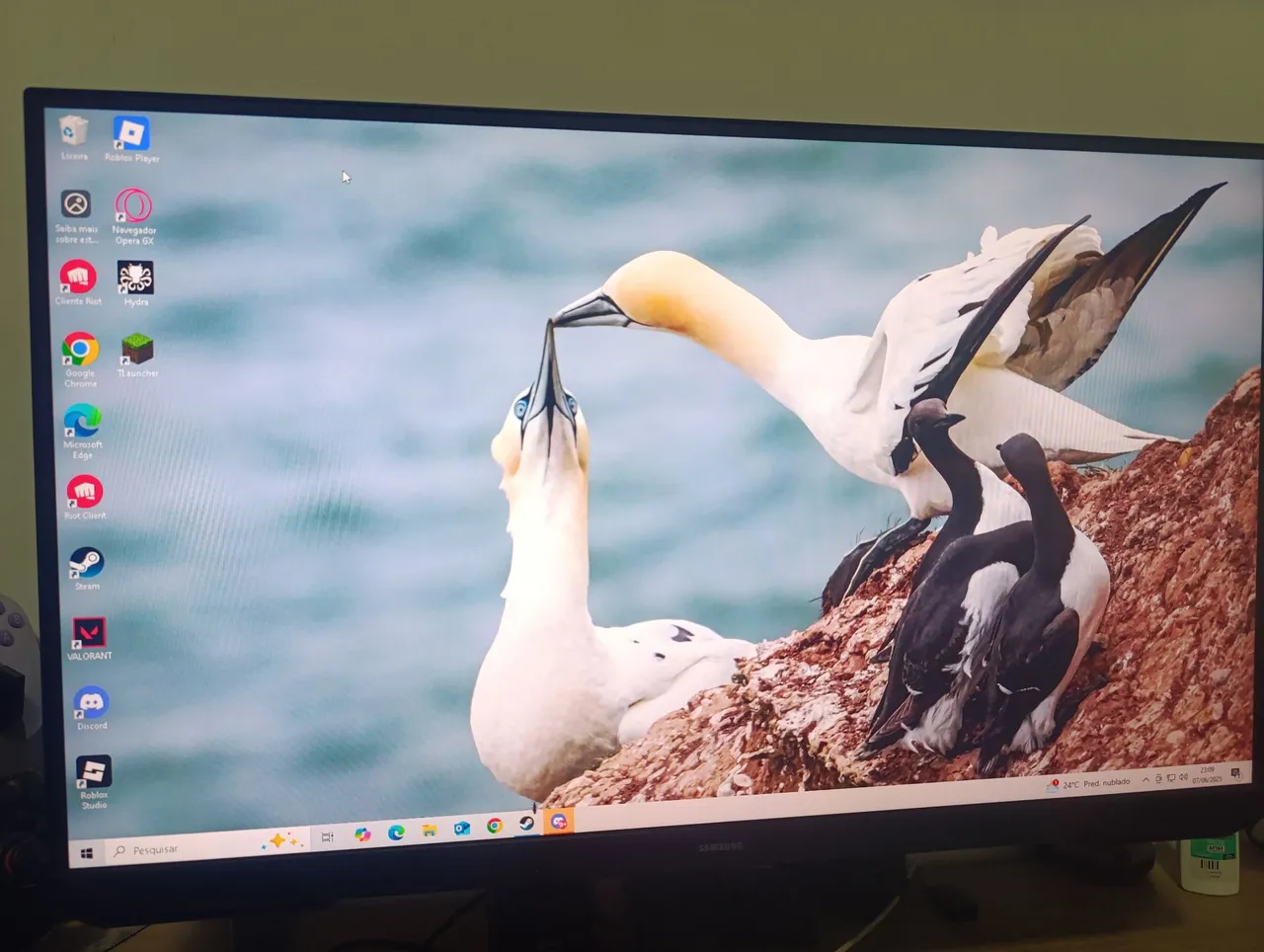 "monitor 1984" no Brasil