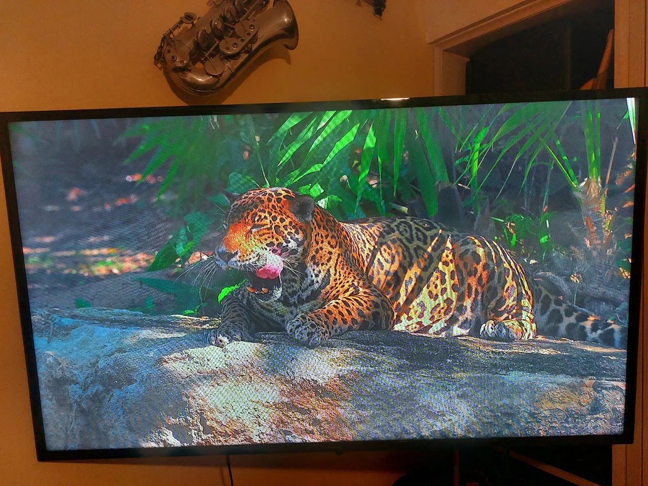 TV Samsung 48" sem função Smart - TVs - Asa Norte, Brasília 1467647864 ...