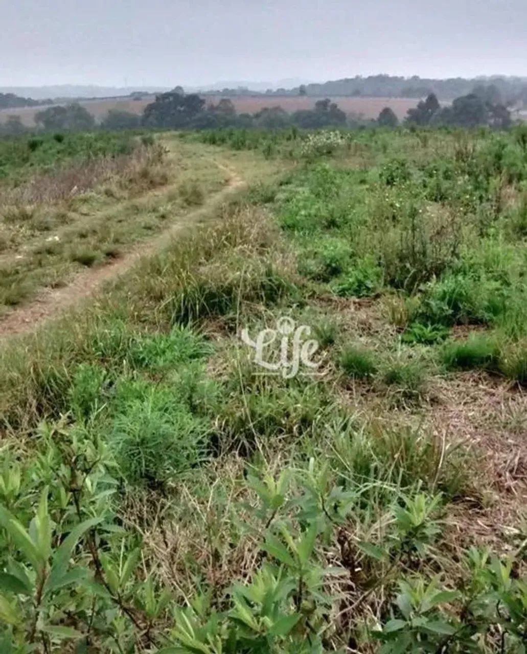 Lote em Rua Machado de Assis - Veneza - Fazenda Rio Grande/PR ...