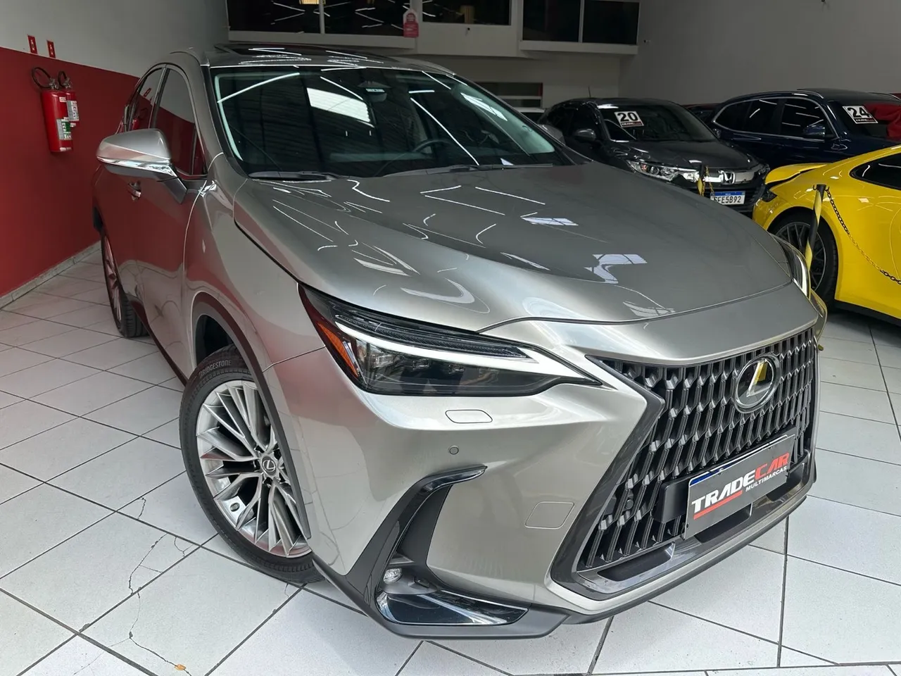 LEXUS Usados e Novos em SP