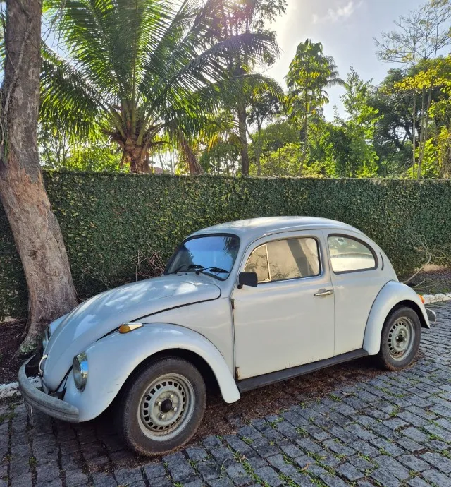 VOLKSWAGEN FUSCA 1978 Usados e Novos