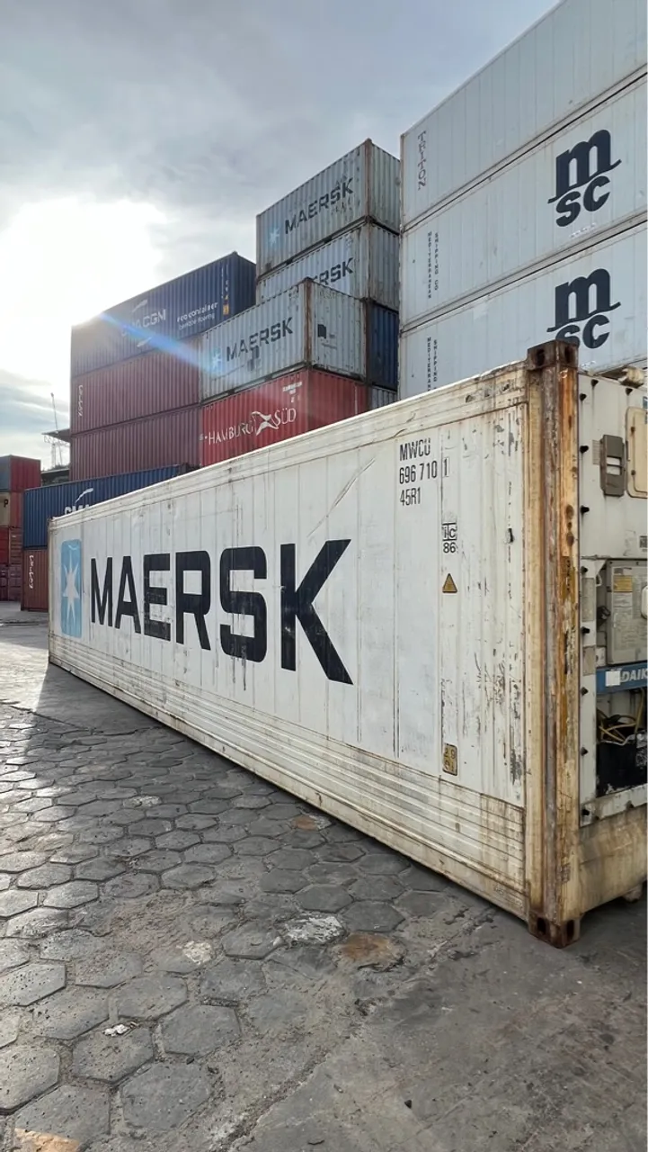 "container refrigerado" no Brasil