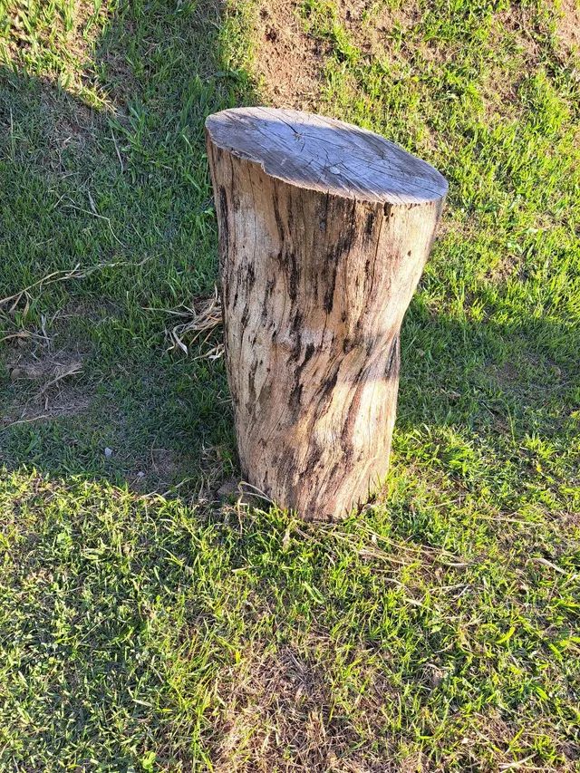 "tora de madeira" no Brasil