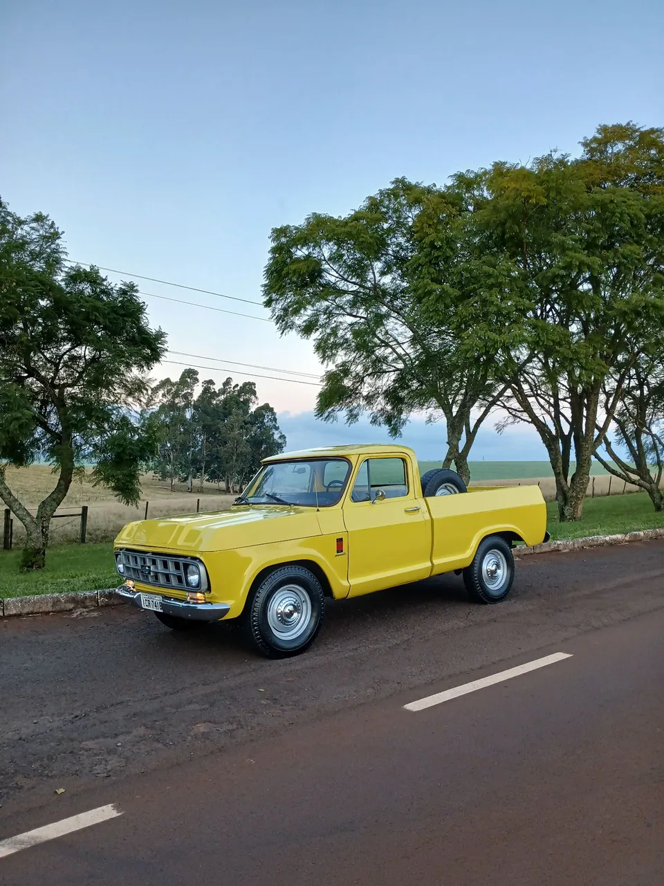 Chevrolet C-14 Usados e Novos
