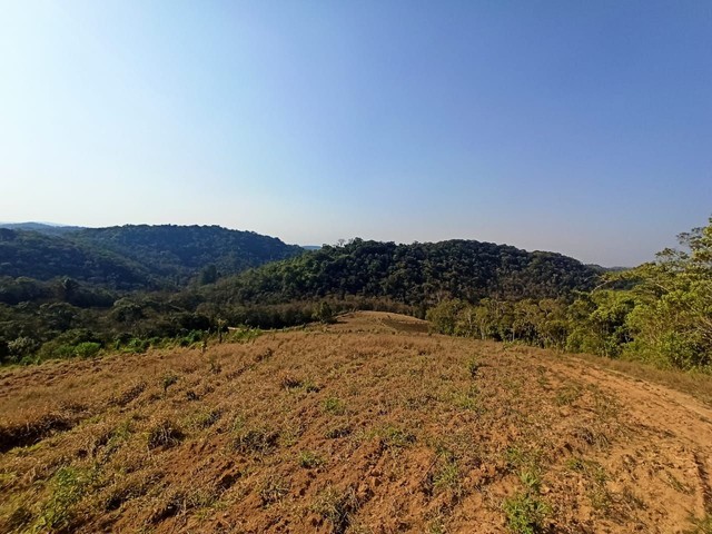 "sitio em tapirai" no Brasil