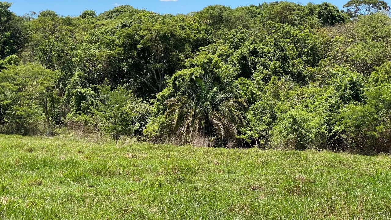 Chácaras de 2mil mt em trindade próxima de Santa Maria! - Terrenos ...