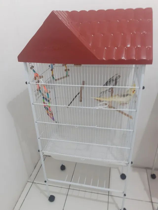 "gaiola grande calopsita" no Brasil