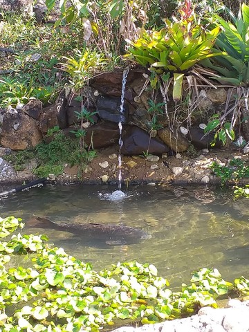 "sitio em tapirai" no Brasil