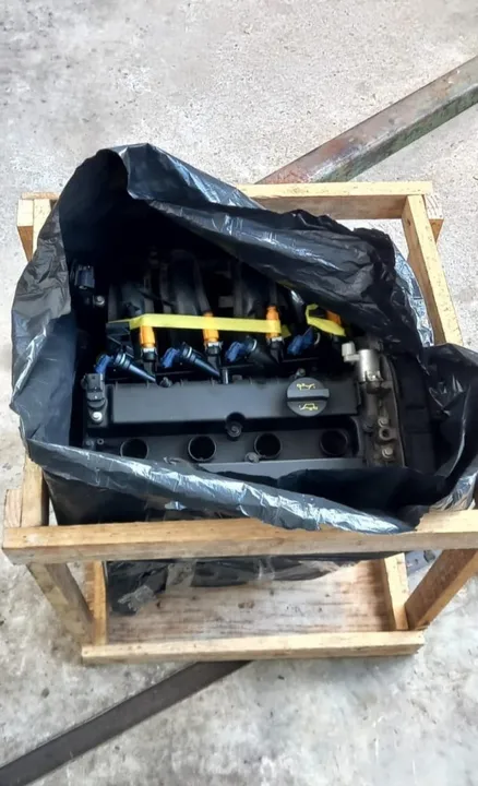 "motores zetec" no Brasil