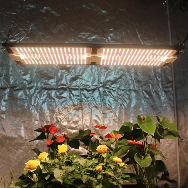 Led Grow Quantum Board Samsung LM301H EVO 240w Full Spectrum Driver ...
