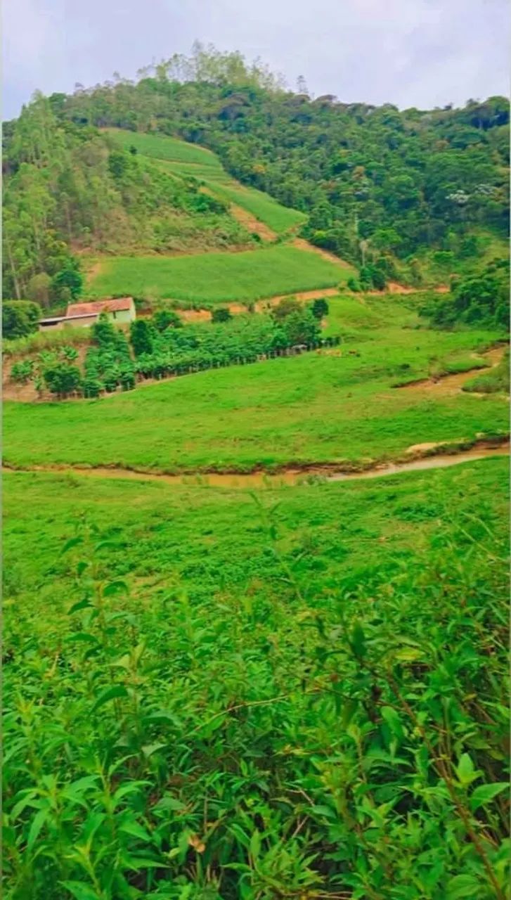 BLACK sítio Escriturados à Venda Domingos Martins, Barra Tijuco preto ...