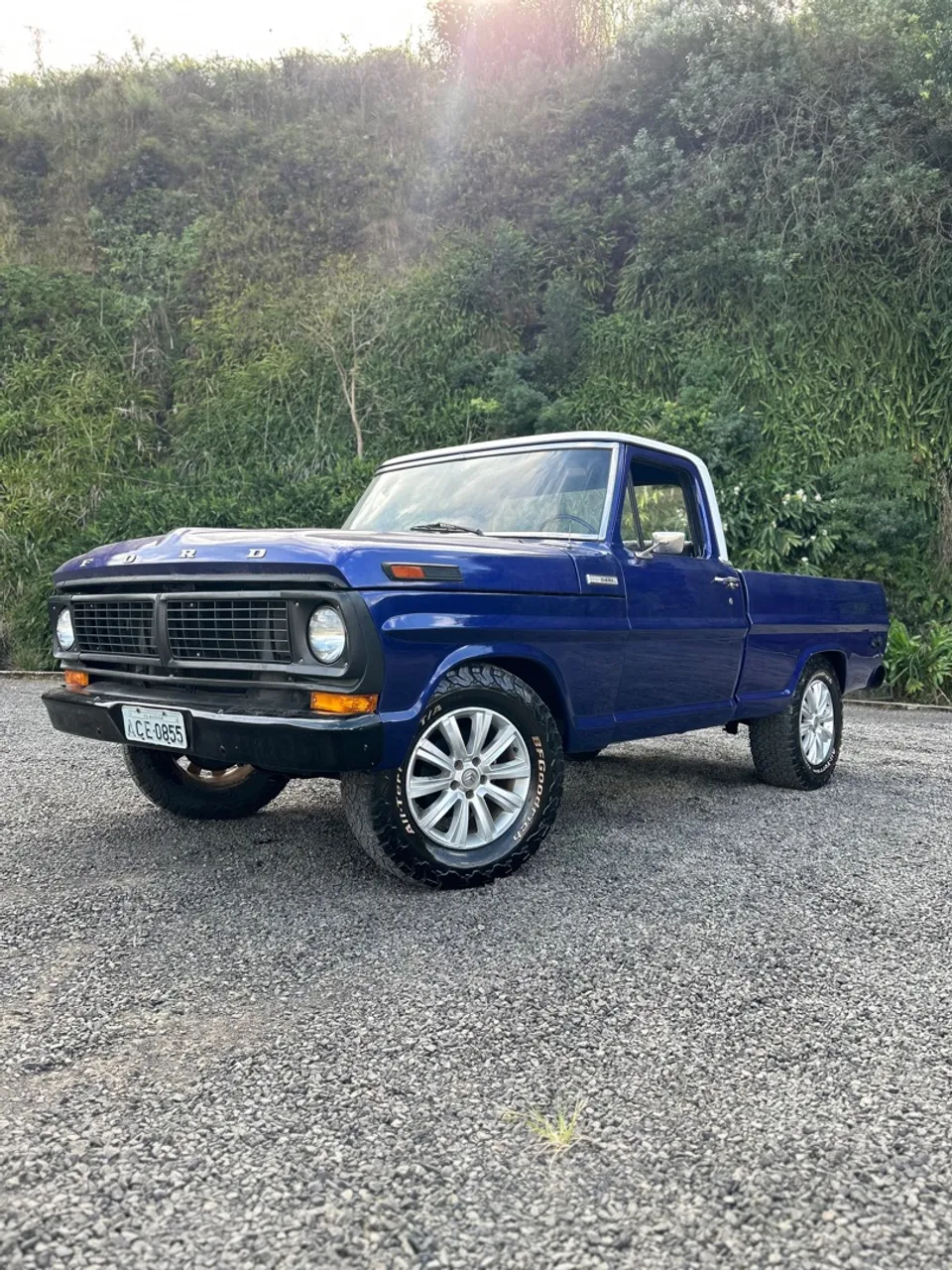 "ford f100" no Brasil