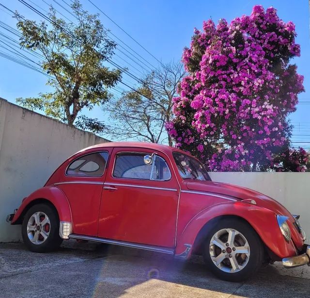"fusca ap" no Brasil